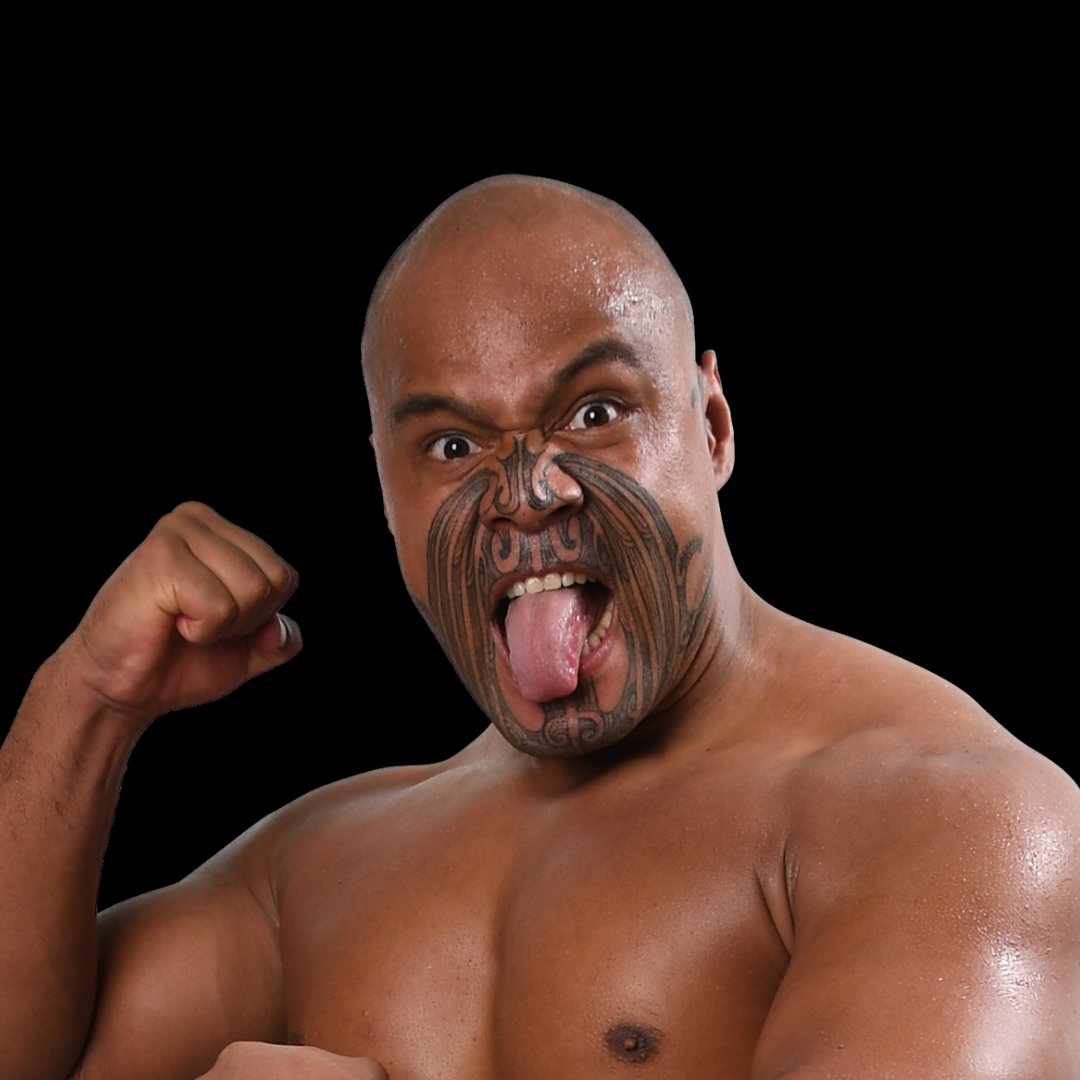 HENARE – TOKON SHOP Global - New Japan Pro-Wrestling of America