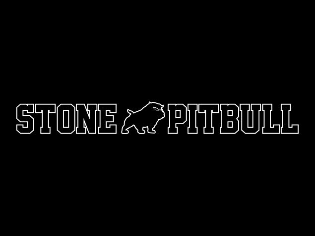 Tomohiro Ishii - Stone Pitbull T-Shirt – TOKON SHOP Global - New Japan ...